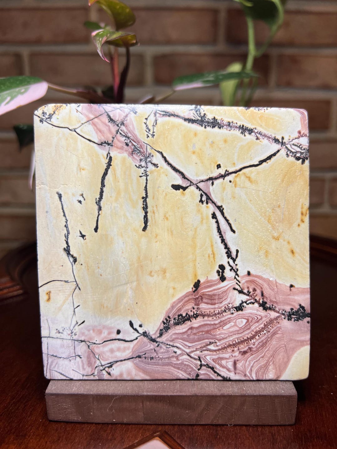 Picture Jasper Slab - Etsy