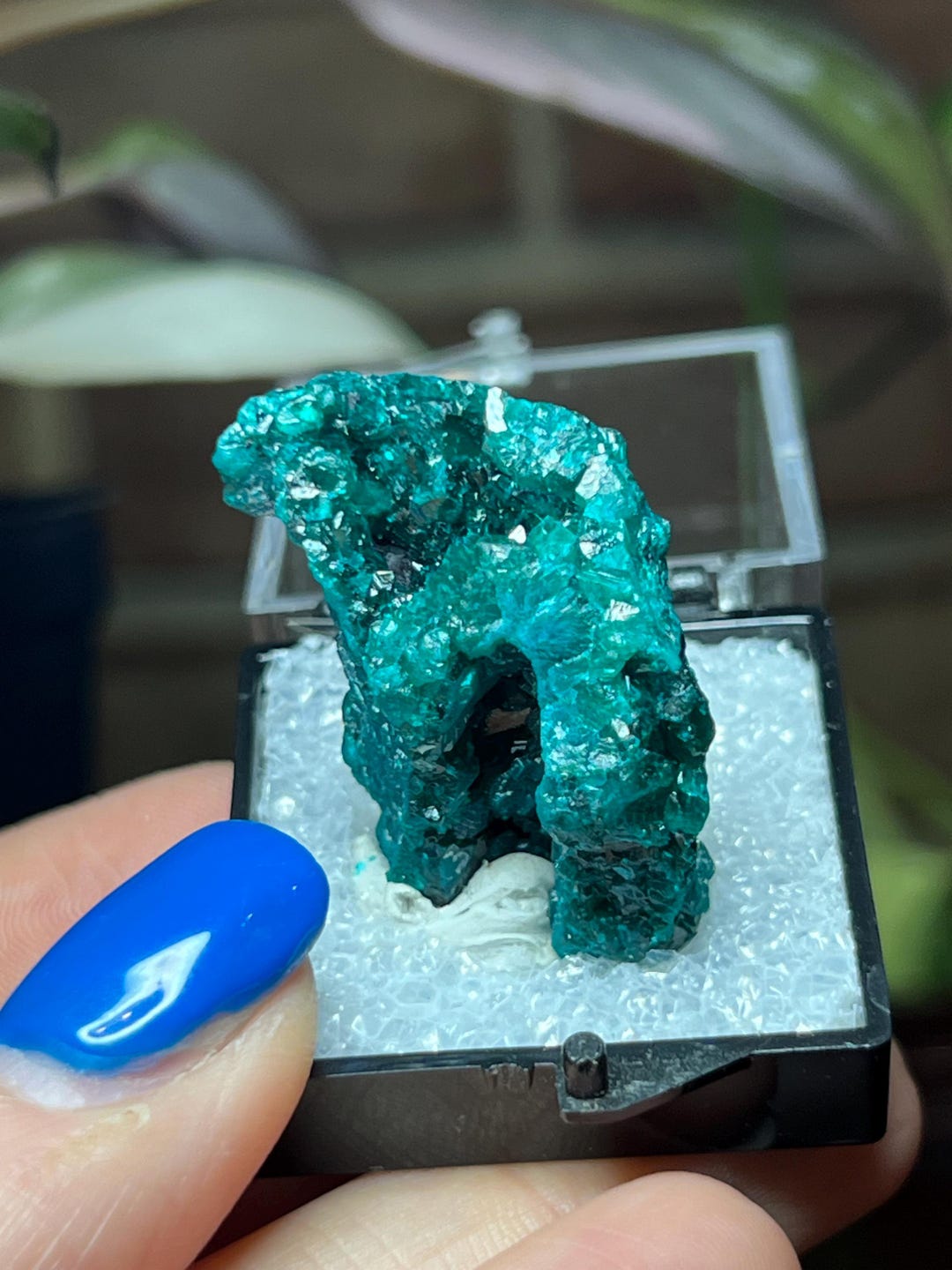Dioptase Mineral Specimen in Display Box, Choose Your Own - Etsy