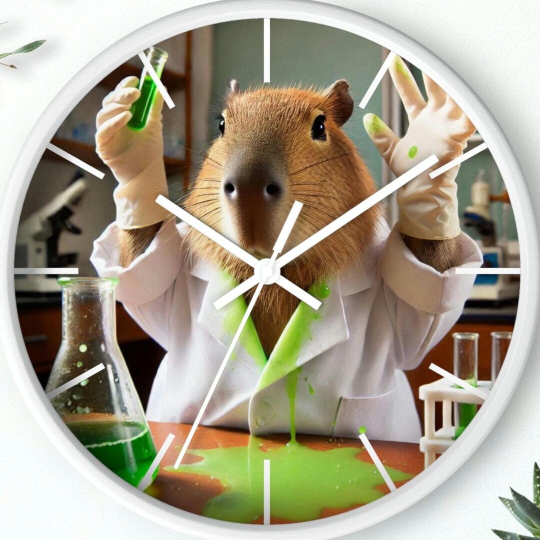 Chemist Capybara Round Wall Clock Modern Design, Birthday Wedding ...