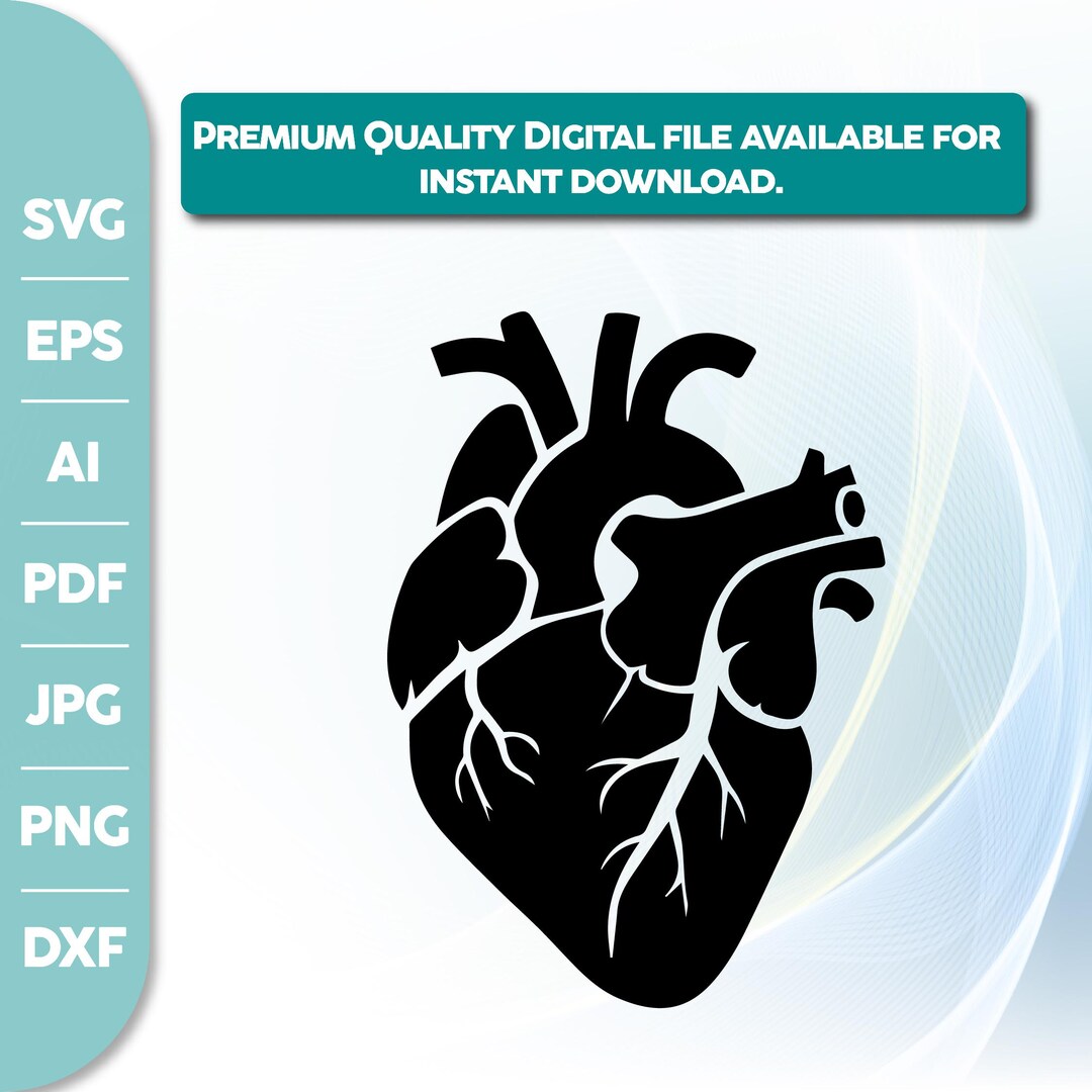 Anatomical Heart Svg,heart Svg,human Heart Clip Art Decal,nurse Life ...