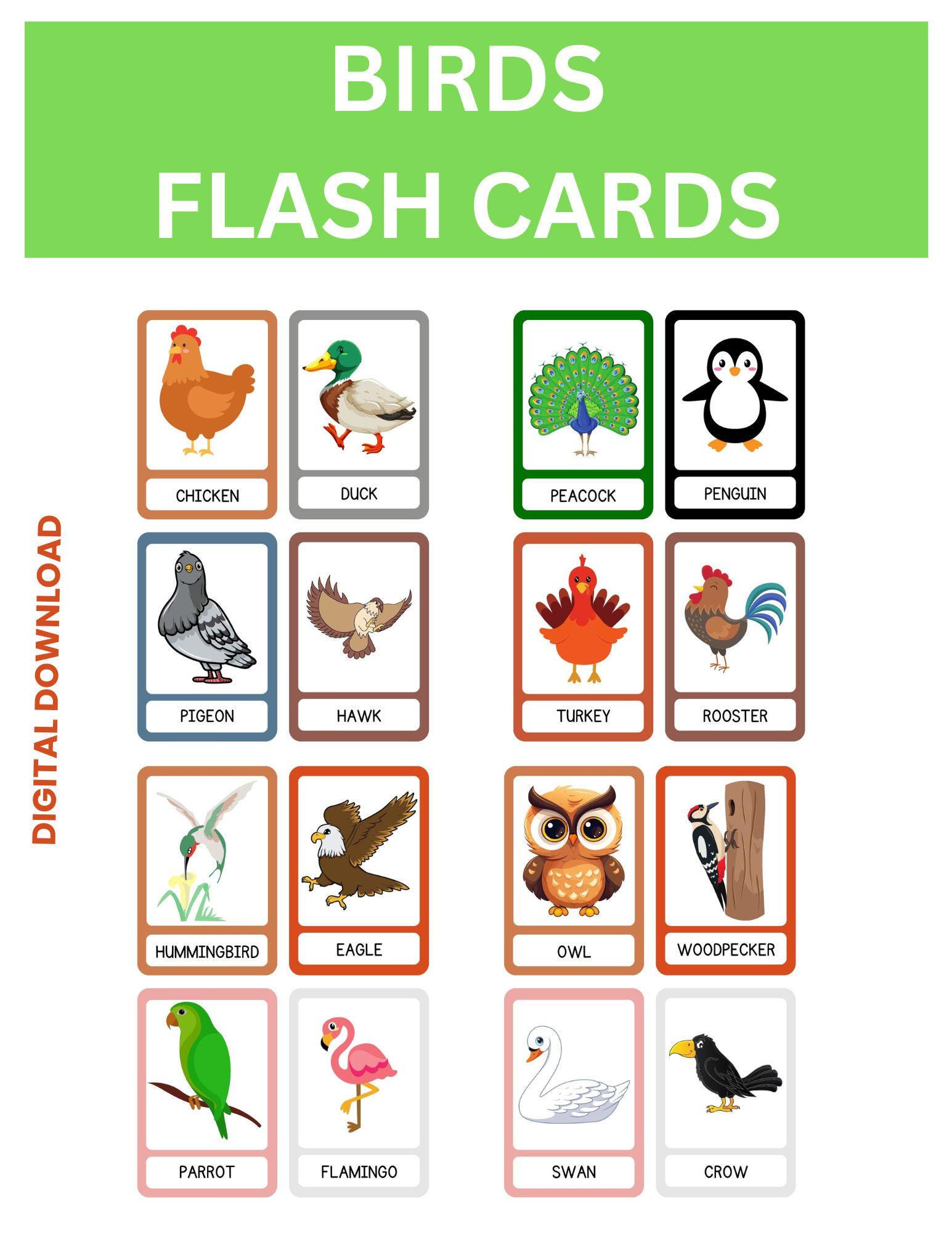 48 Zoo Animal Flashcards for Kids | Digital PDF for Learning & Play - Etsy