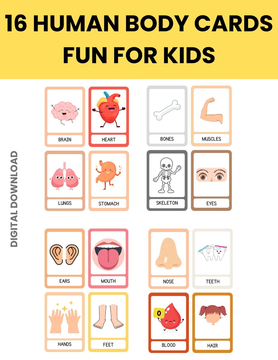 16 Human Body Flashcards for Kids Digital PDF for Homeschooling & Play ...