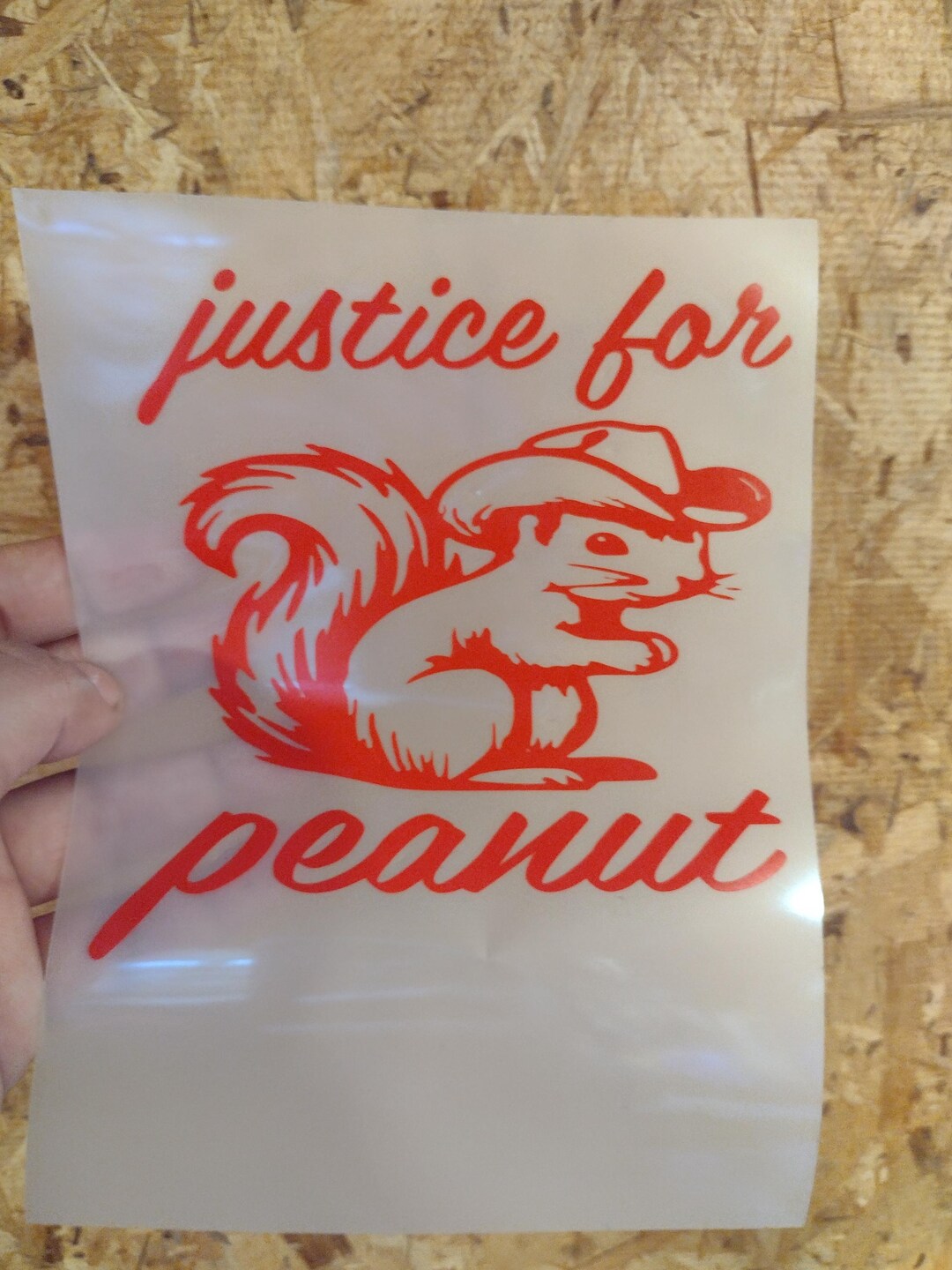 Peanut the Squirrel Decal for Cars and Trucks - Etsy