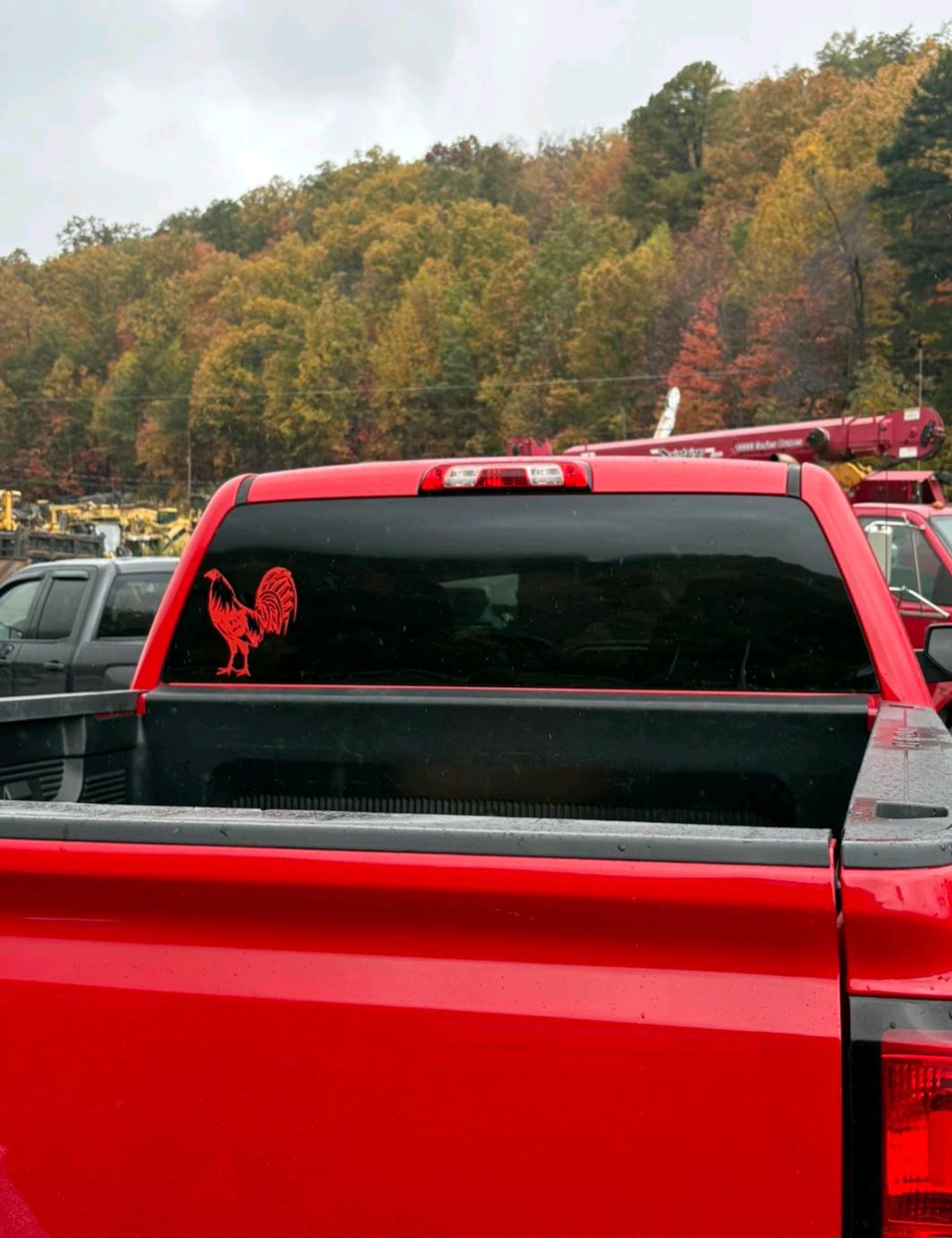 Grey Gamefowl Decals #2 ,.car or Truck Decal - Etsy