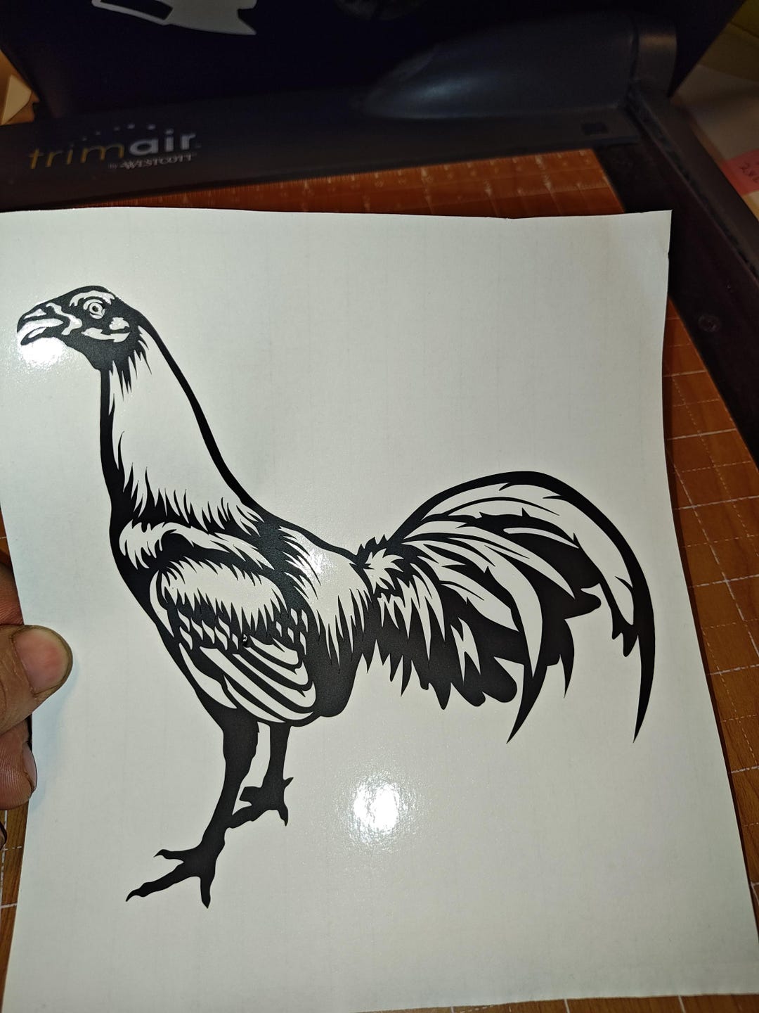 Gamefowl Decal #13, Rooster, Gallos Car Sticker, Decal for Cars or ...