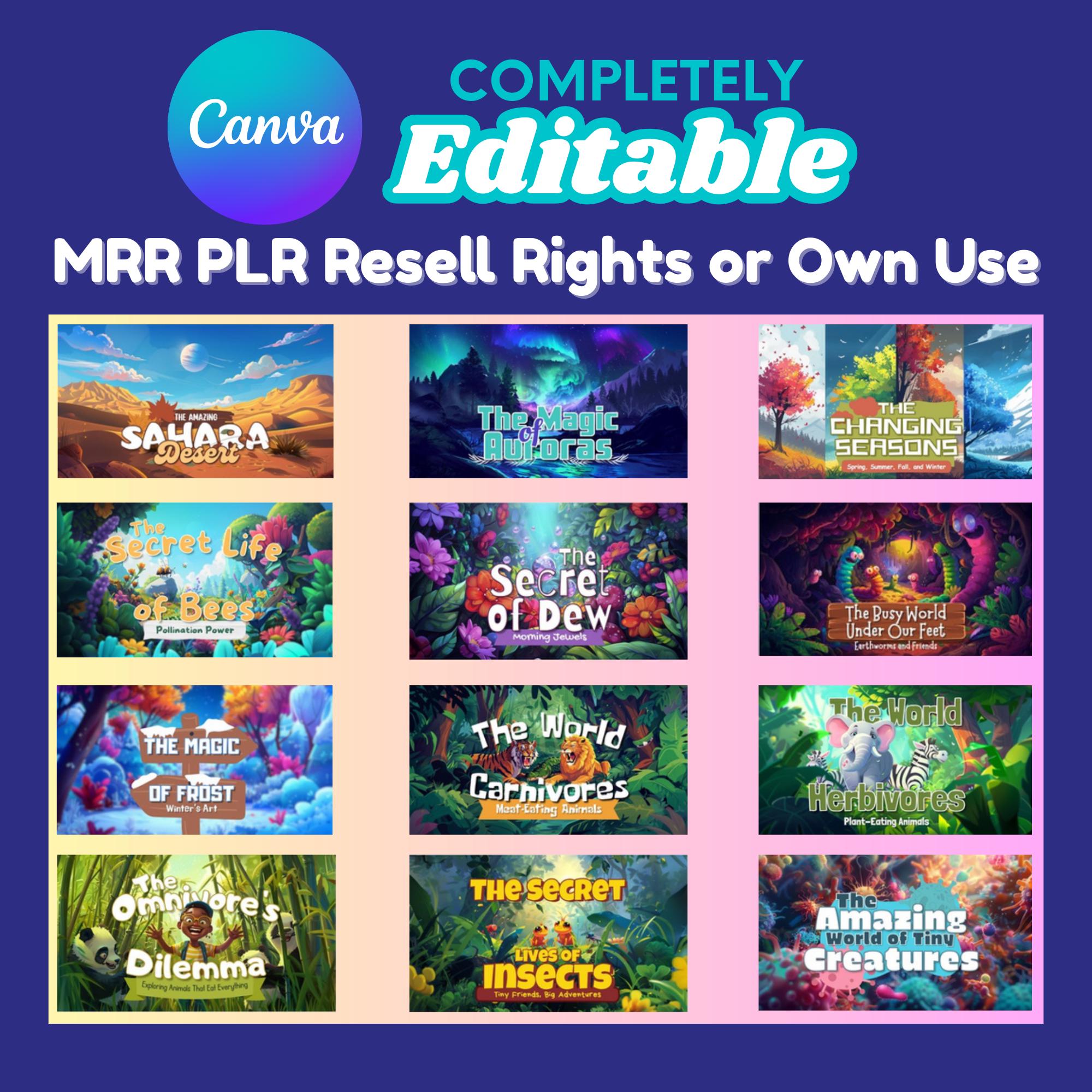 Kids Storybooks & Videos Bundle: Canva Editable, PLR MRR Resell Rights ...