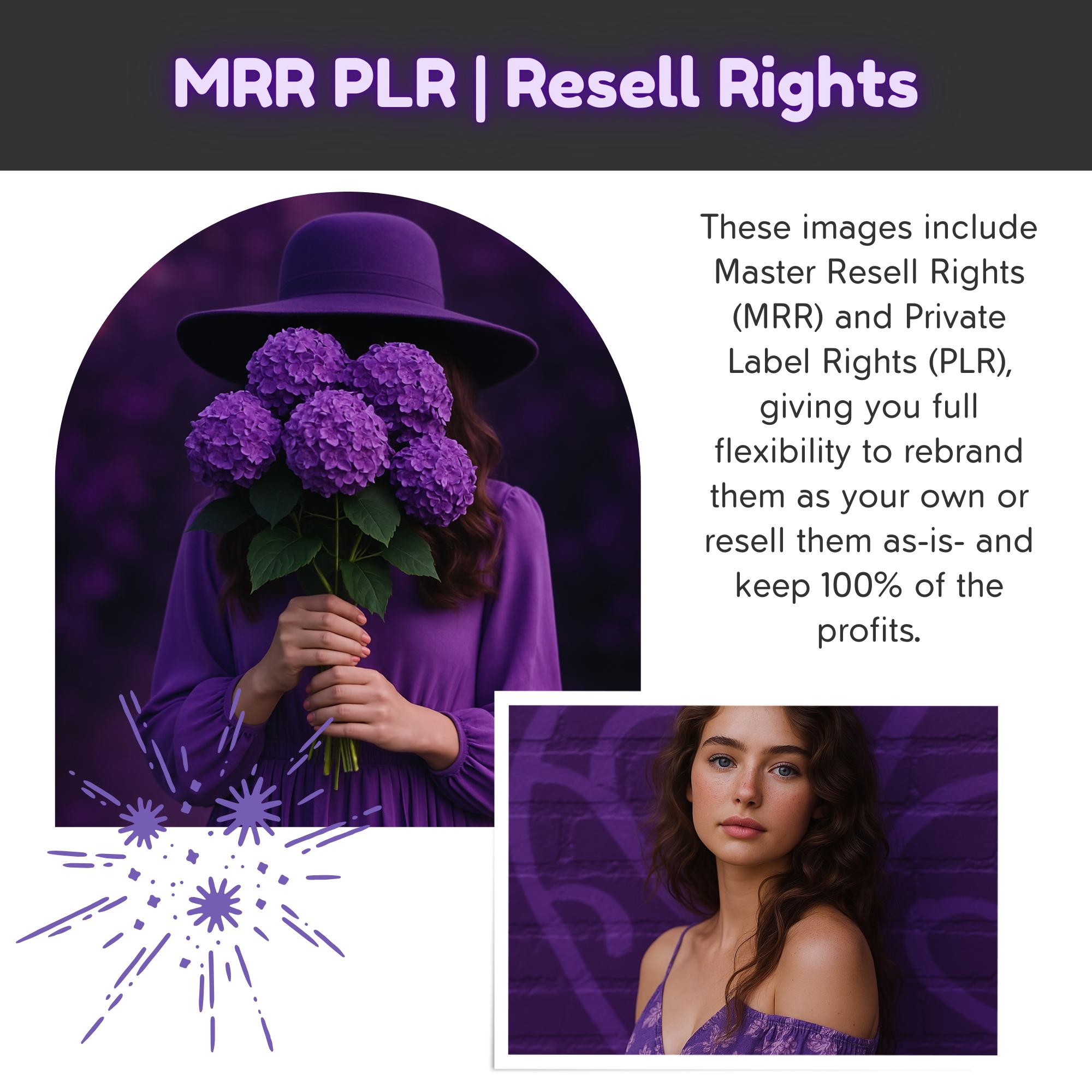 170+ Purple Elegant Aesthetic Stock Images | DFY Bundle With MRR & PLR ...