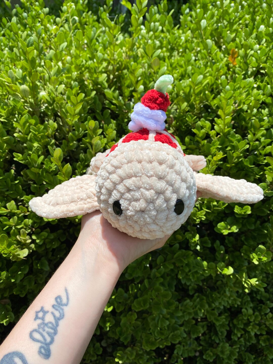 Cherry Pie Turtle - Etsy