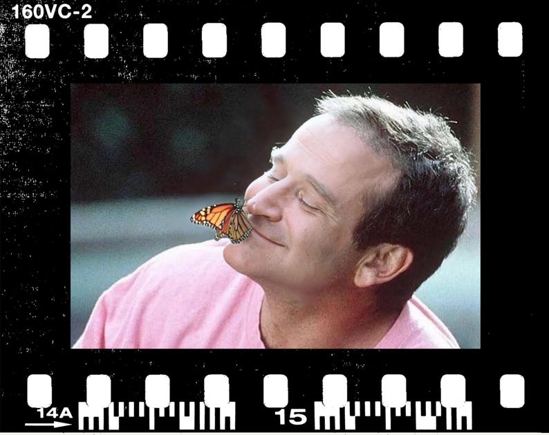Robin Williams Poster Photography Print Robin Williams Butterfly ...