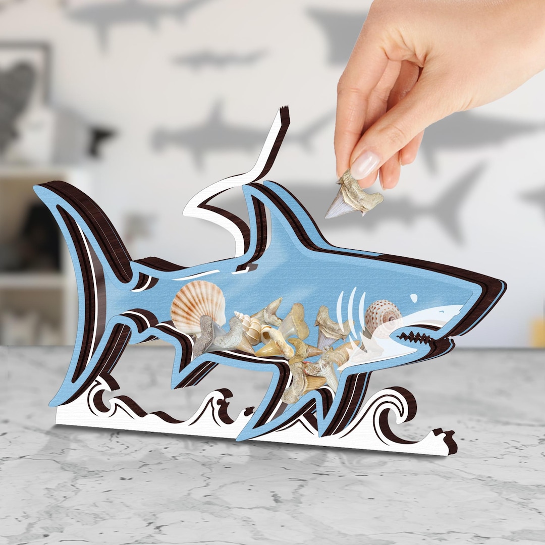 Shark Tooth Collector Gift Shark Tooth Display Shark Shadow Box for ...