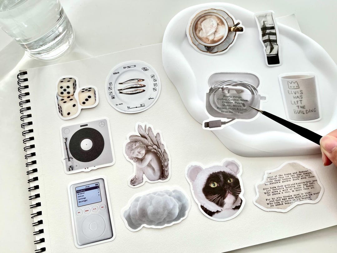 12 Pcs/pack, Aesthetic Sticker Pack, Pinterest Girl Sticker Pack ...