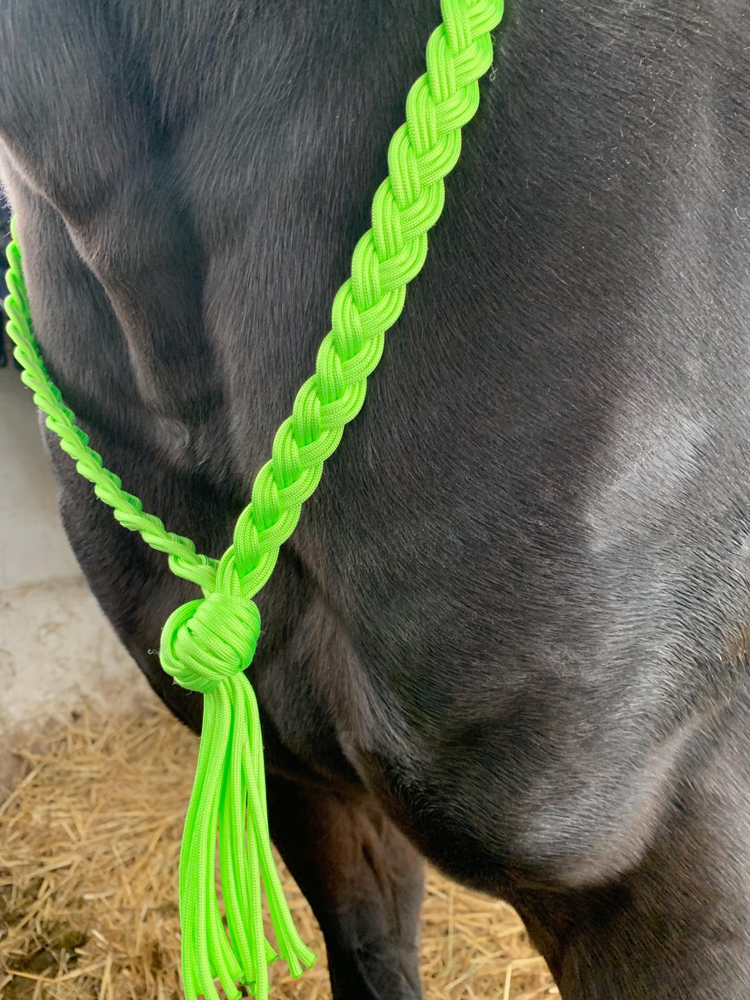 Hi-viz/neon Neck Ropes for Horse Riding - Etsy