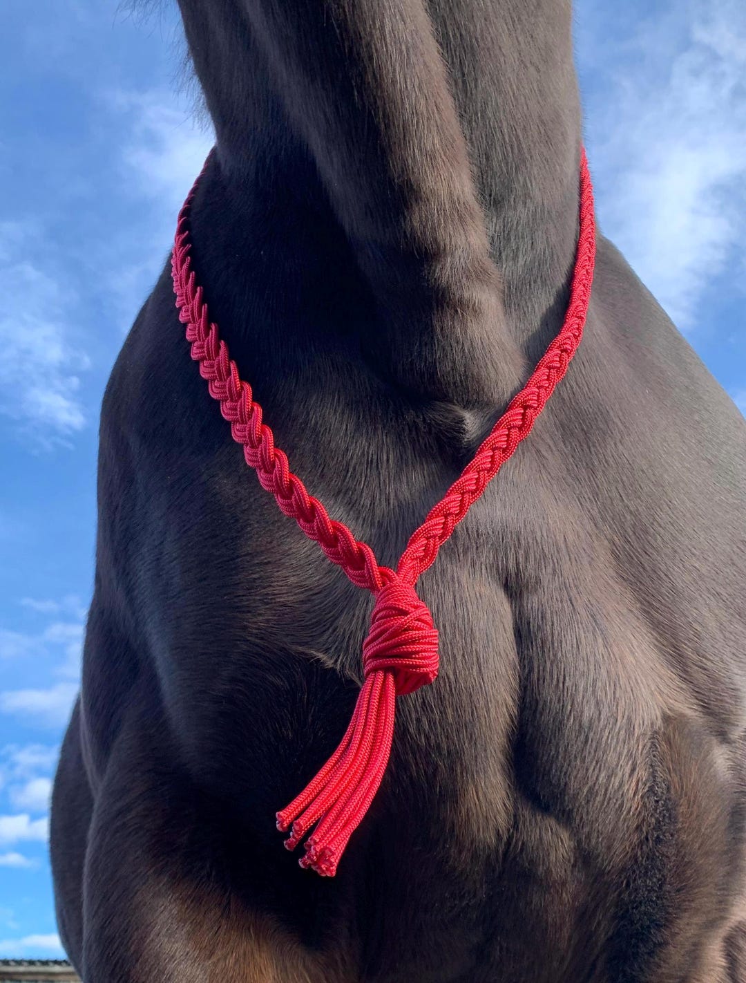 Equestrian One Colour Neck Ropes! Paracord, Tackless Riding, Liberty - Etsy