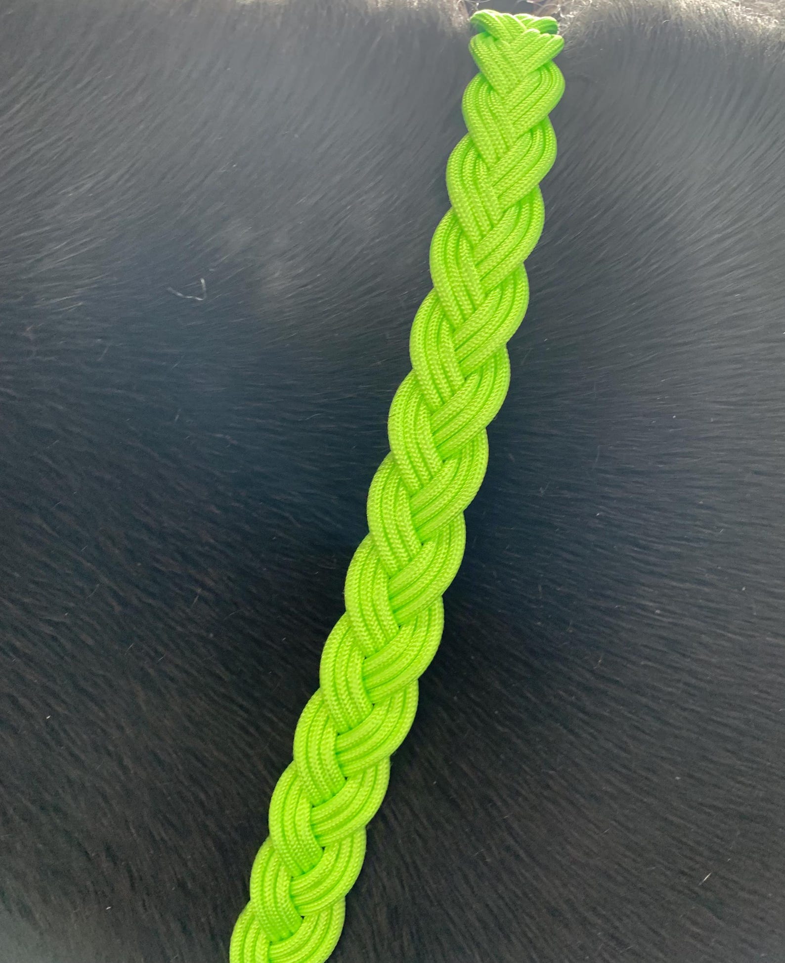 Hi-viz/neon Neck Ropes for Horse Riding - Etsy