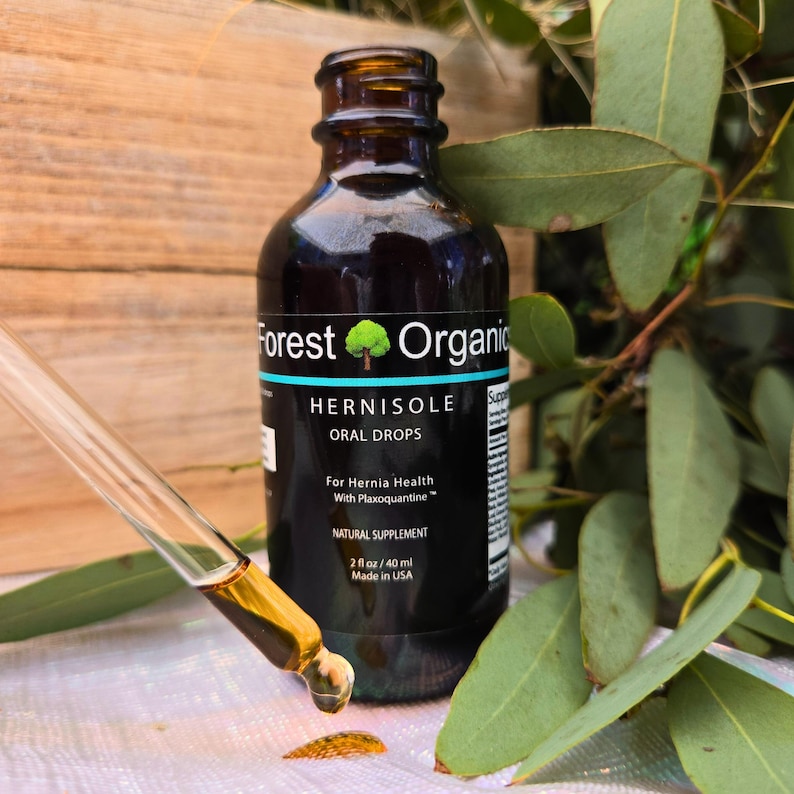 Hernisole - Herbal Tincture for Hernia Health - Etsy