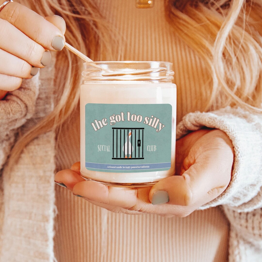 Funny Silly Goose Candle, Silly Goose on the Loose Meme Gift for Him or ...