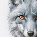 Blue Fox 3 Pack Digital Download Print at Home Poster, Wall Art Home ...