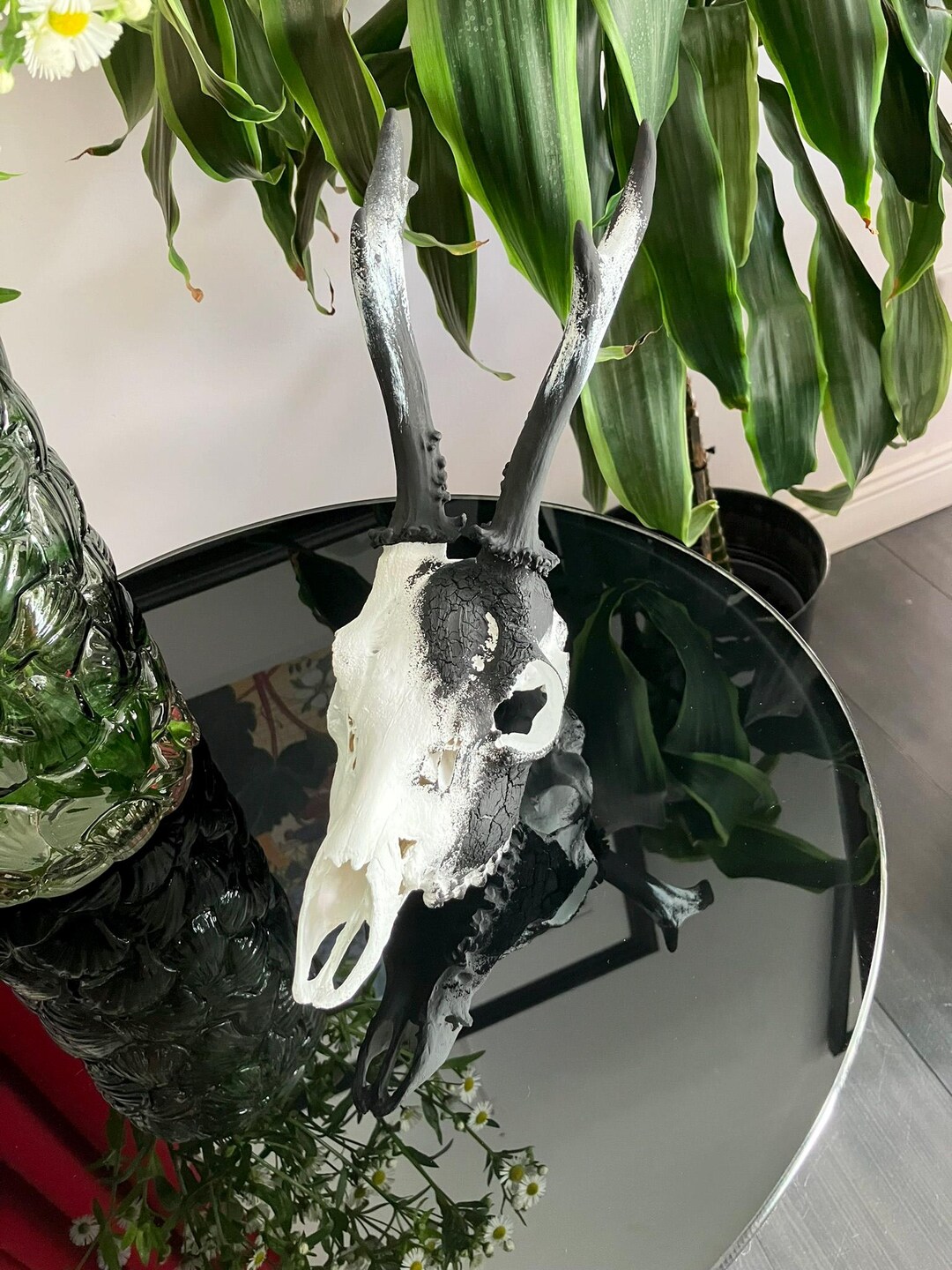 Hand Painted Real Goat Skull, Painted Deer Skull, Unique Roe Skull Art ...