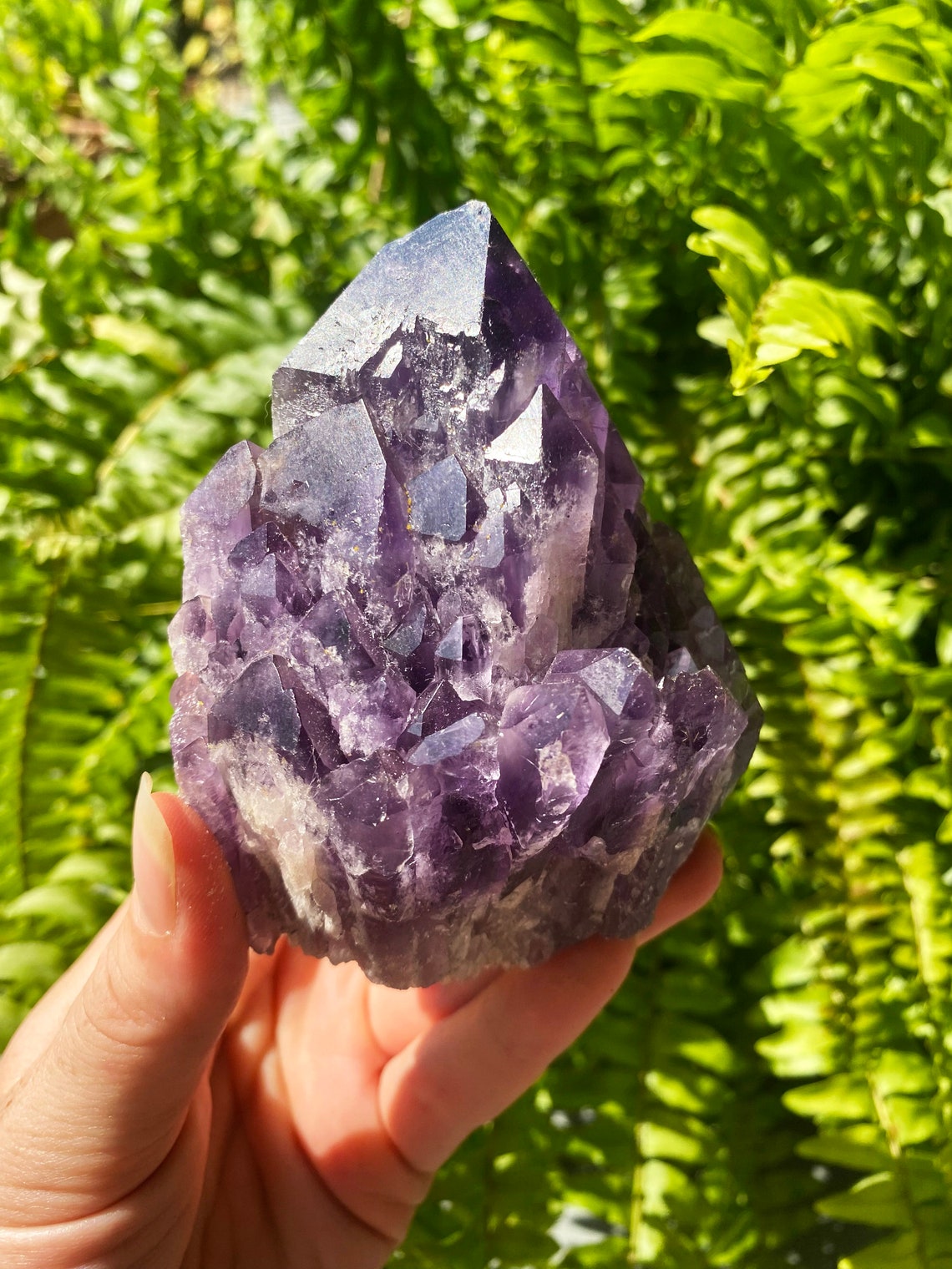 RARE Royal Bahia Amethyst Cluster - Etsy