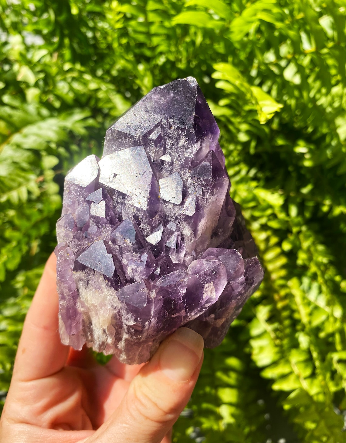RARE Royal Bahia Amethyst Cluster - Etsy