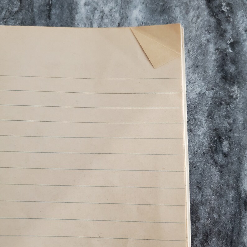 1950s Bee Hive Golden Corn Syrup Scribbler Notebook - Etsy