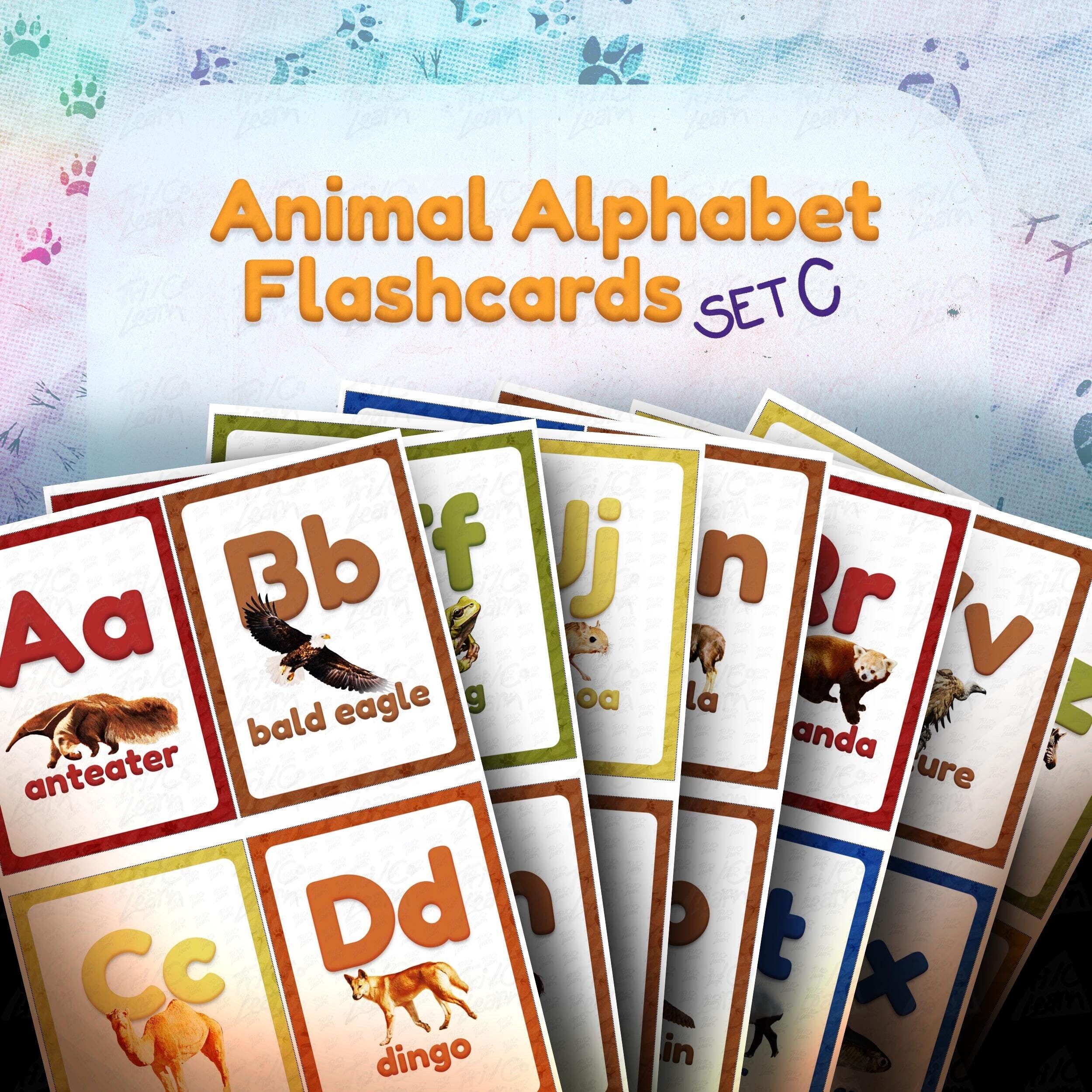 Animal Alphabet Flash Cards Set for Kids Learning Flashcards Alphabet ...