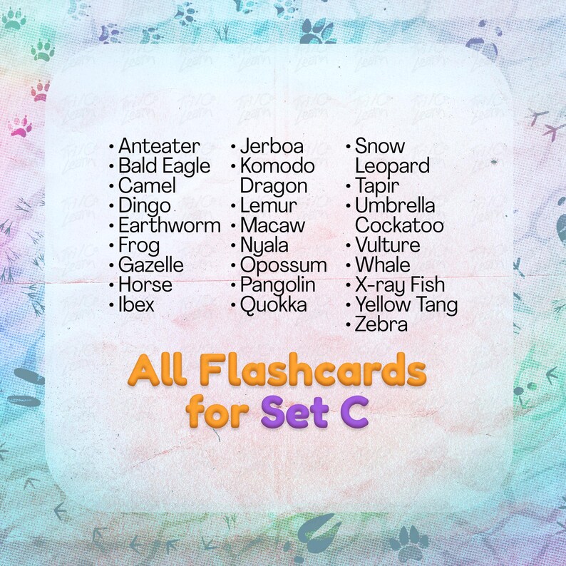 Animal Alphabet Flash Cards Set for Kids Learning Flashcards Alphabet ...