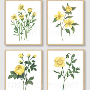 Yellow Botanical Watercolor Print Set, Flower Wall Art, Botanical Print ...