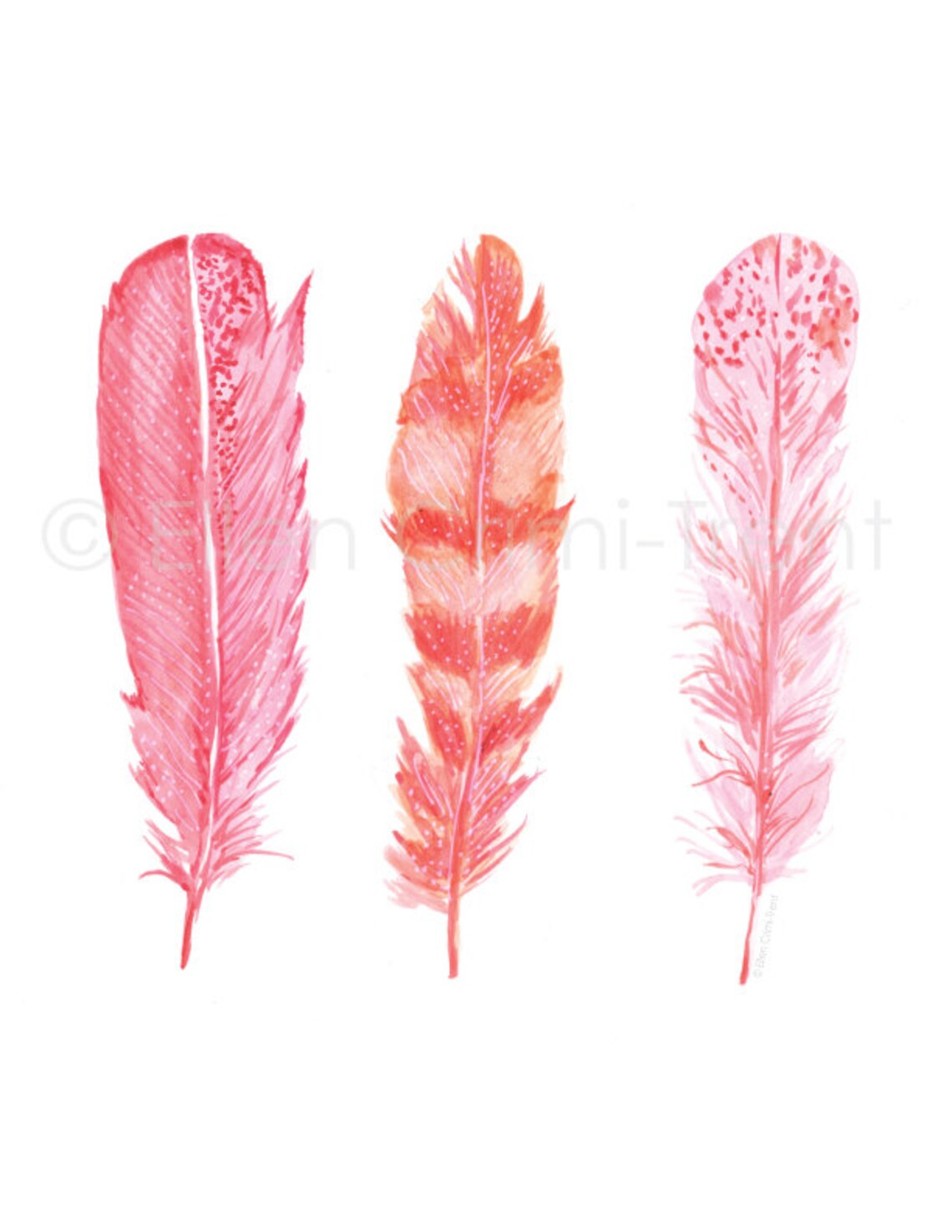 Watercolor Art Print/watercolor Feathers/pink Watercolor - Etsy