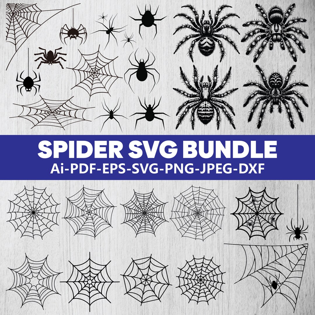 Spider Svg Bundle, Spider Web Svg Bundle, Spider Web Clipart, Spider ...
