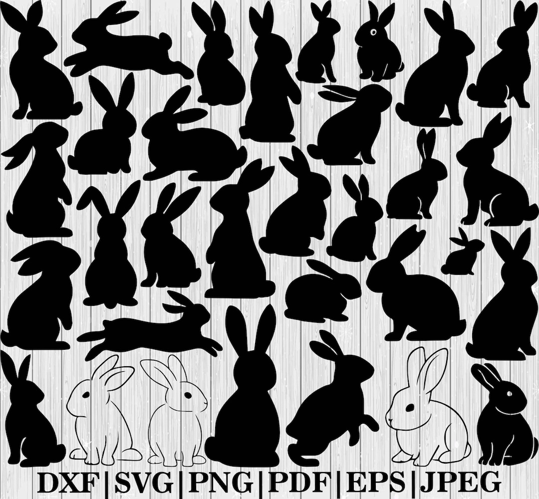 Rabbit Svg Bundle, Rabbit Png Bundle, Rabbit Clipart, Rabbit Silhouette ...