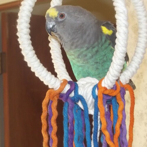 Extra Large Parrot 3 Ring Orbit Swing - Etsy