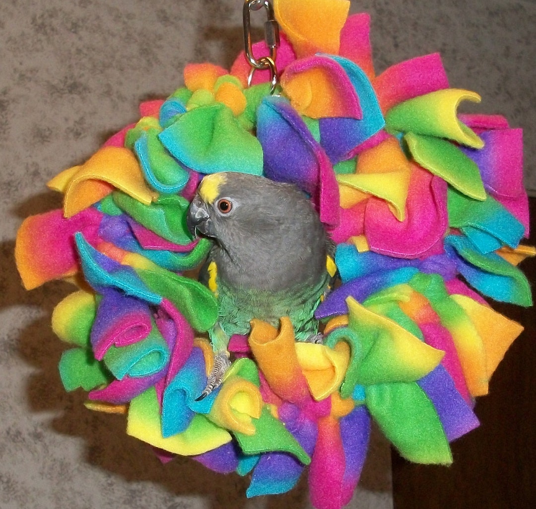 Small Parrot Snuggi Wreath - Etsy