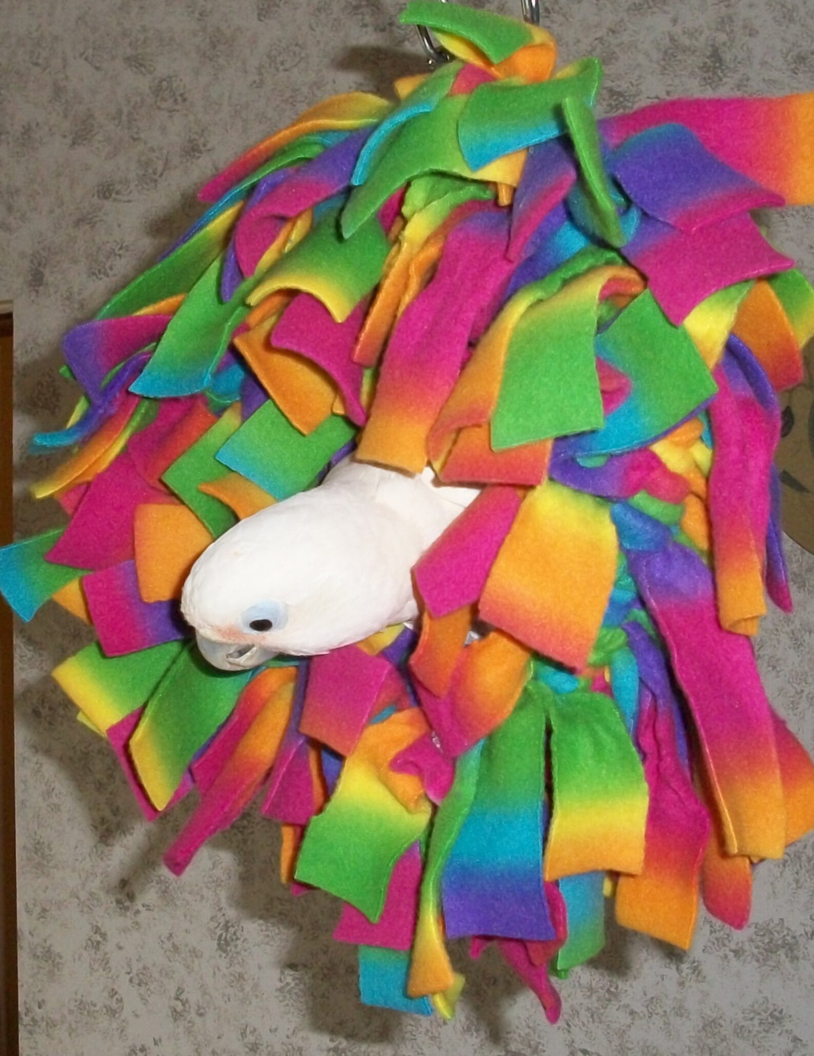 Medium Parrot Snuggle Wreath - Etsy