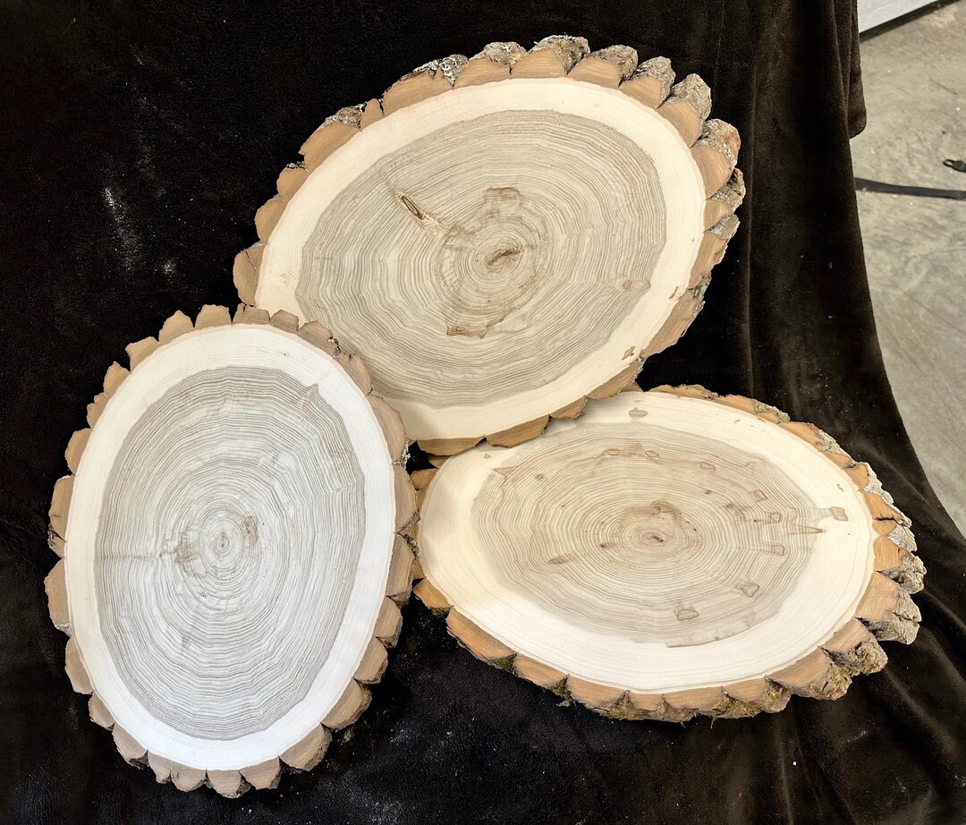 Oval Poplar Wood Slabs 12”x16” - Etsy
