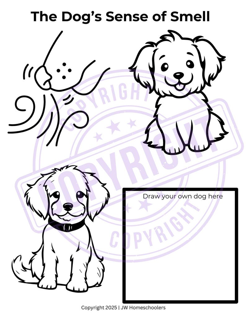 Coloring Page, Dog's Sense of Smell, Was It Designed, Jw.org - Etsy