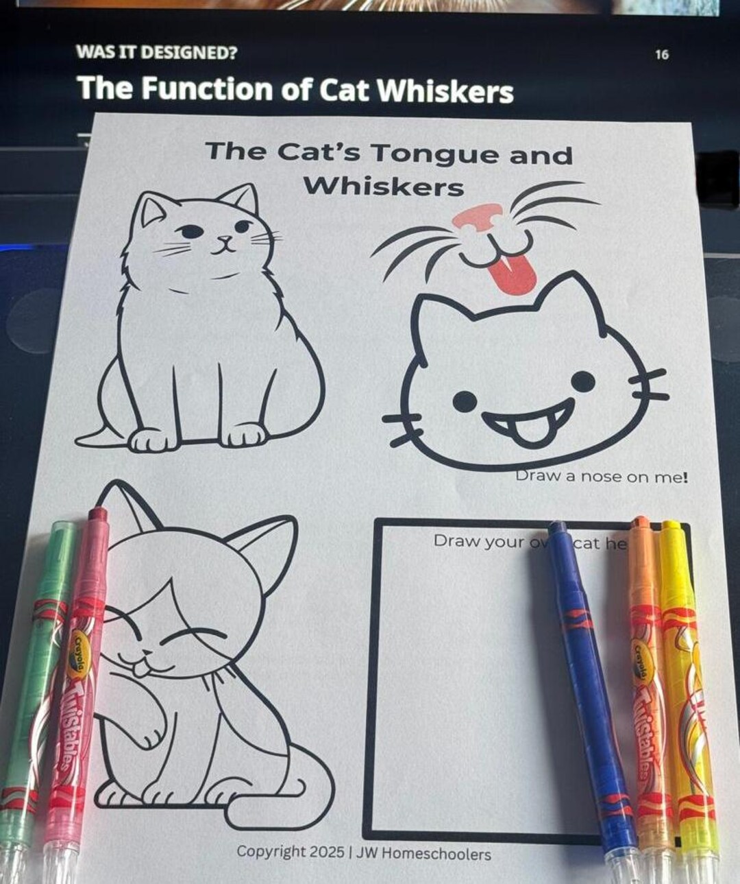 Coloring Page, Cat's Tongue and Whiskers, Was It Designed, Jw.org - Etsy