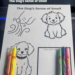 Coloring Page, Dog's Sense of Smell, Was It Designed, Jw.org - Etsy