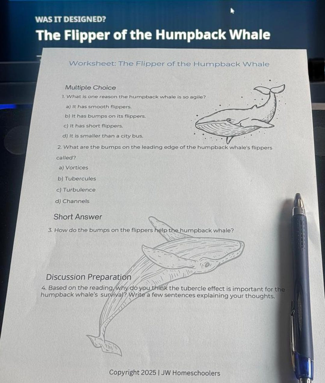 The Amazing Flipper of the Humpback Whale – Homeschool Science ...