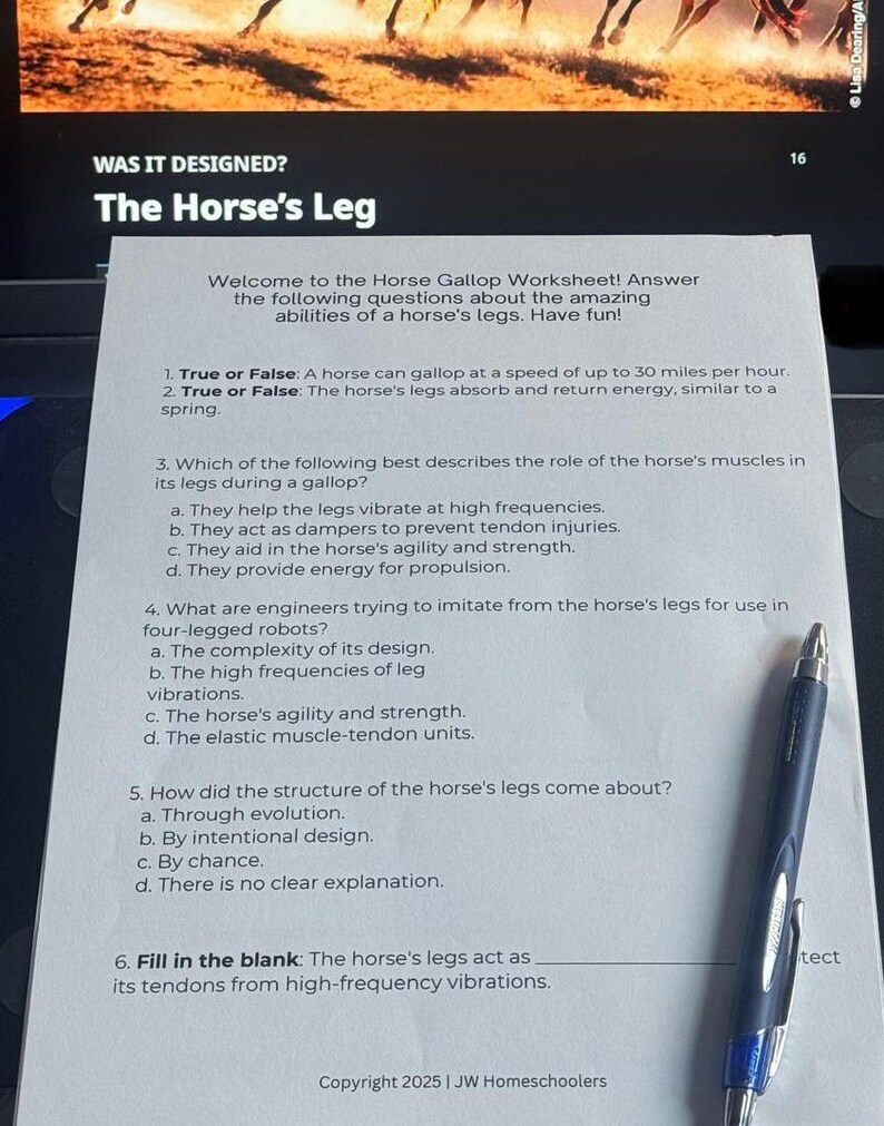 Homeschool Worksheet: the Horse's Leg in the 'was It Designed?' Series ...