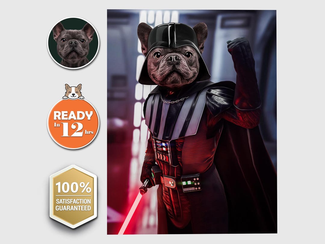 Darth Vader Pet Portrait: Custom Star Wars Dog Painting (digital ...