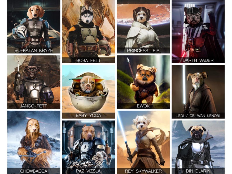 Jedi Obiwan Kenobi Star Wars Parody Pet Custom Canvas Portrait - Etsy