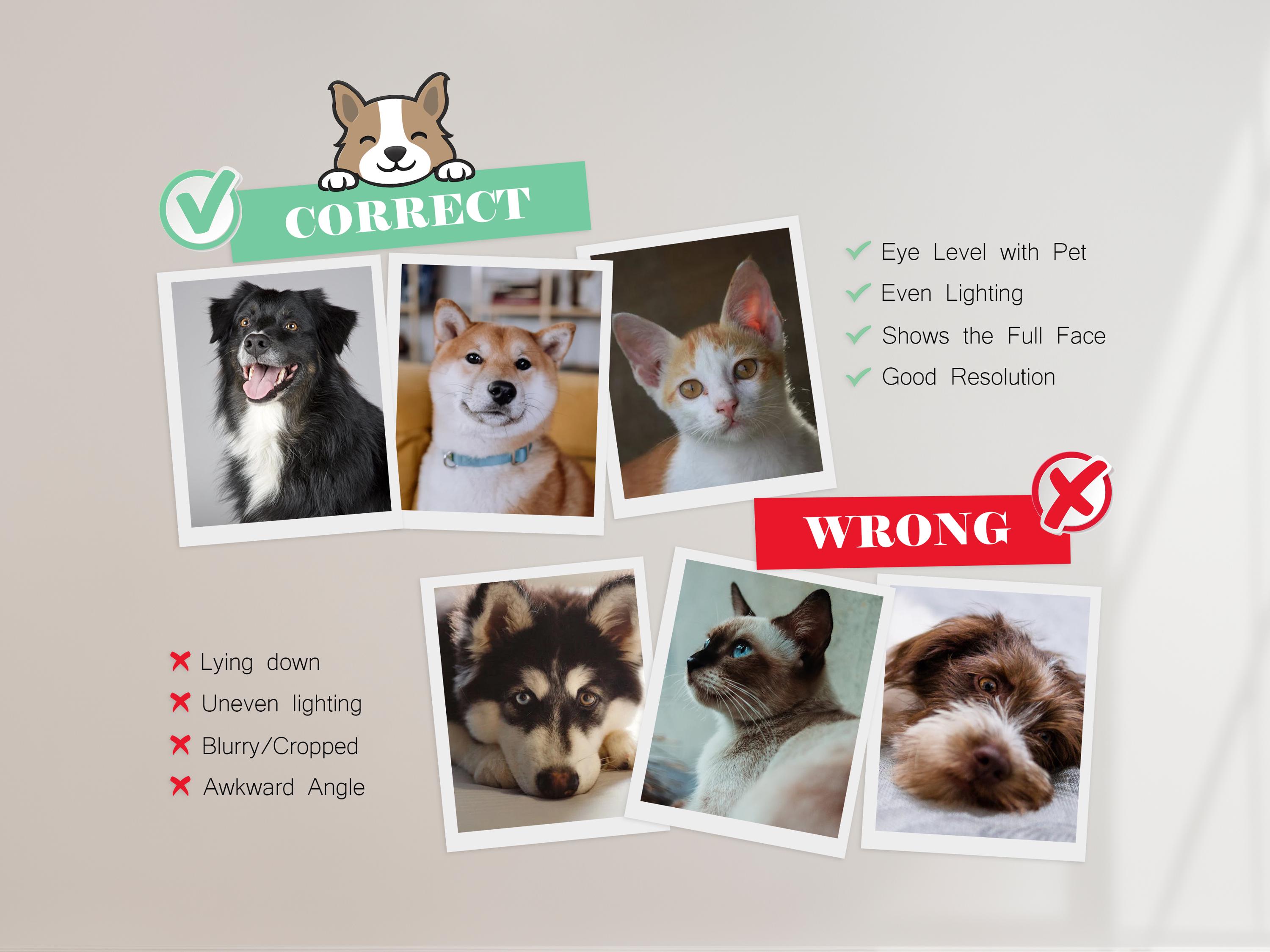 Cyborg Dog Super Hero Custom Pet Portrait: Personalized Pet Remembrance ...