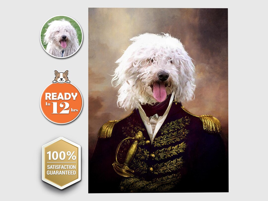 Admiral Commander, Captain Custom Pet Digital Portrait, Personalized ...