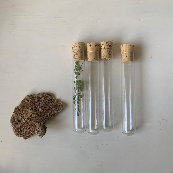 Vintage Glass Vials - Etsy