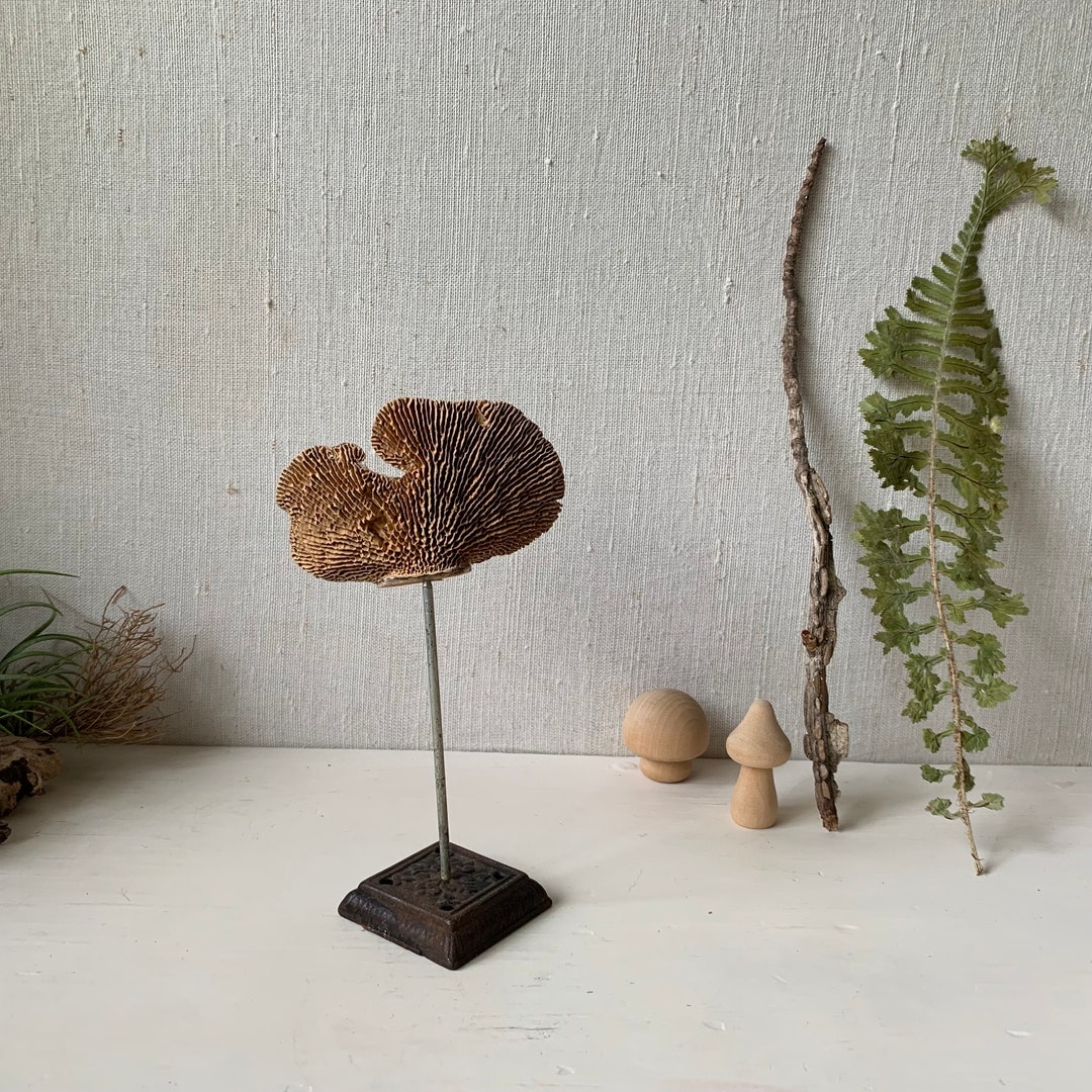 Antique Iron Receipt Spike Old General Store Supply - Etsy