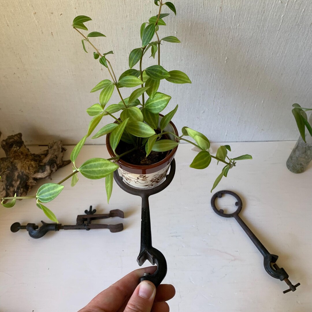 Antique Chemistry Lab Test Tube Holders 3 Vintage Laboratory Cast Iron ...