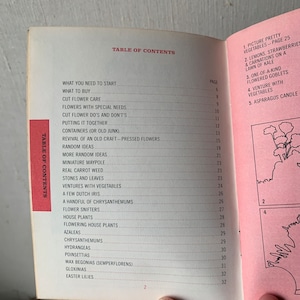 Vintage 70s Naturecraft Booklet - Mini Book - Fun With Flowers Fruits ...