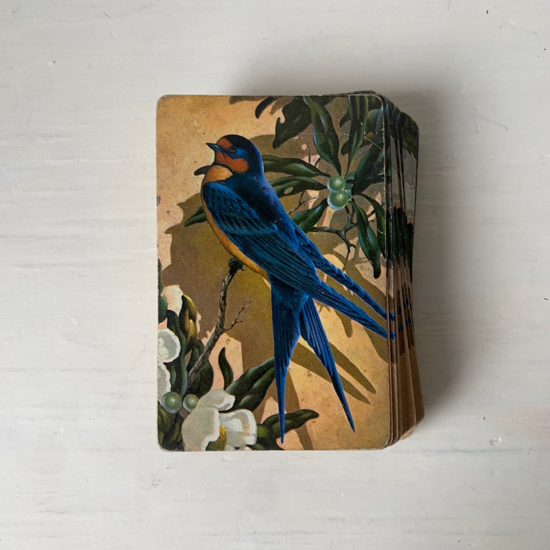 Vintage Bluebird Playing Cards Blue Bird 54 Card Deck Animal Cards ...