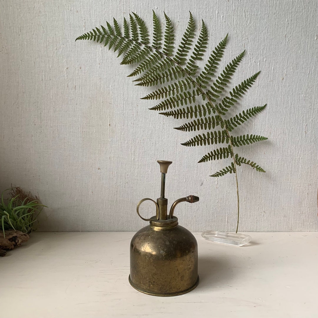 Vintage Brass Plant Mister Works Houseplant Style Botanical Prop - Etsy